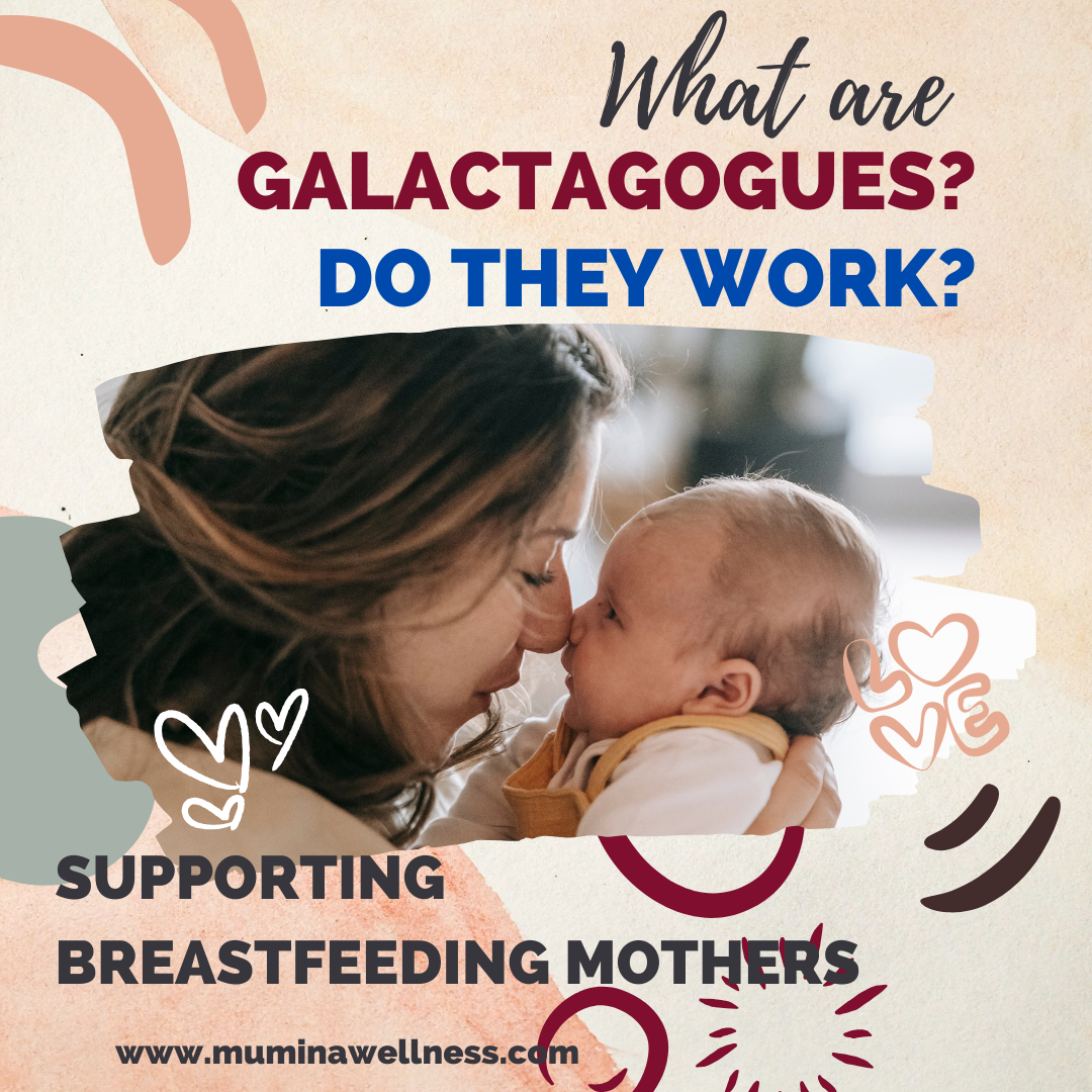 🌸 Do Galactagogues Really Work? Here’s the Truth Every Breastfeeding ...